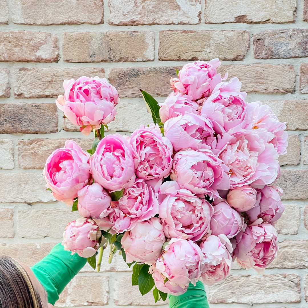 Shop Our Fresh & Dried Flowers – Ruby Lane Flower Co.